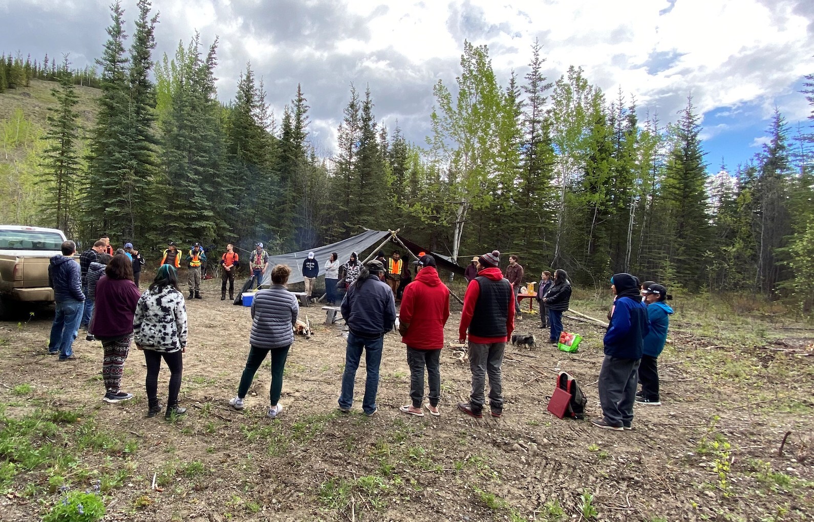 Community revegetation program at the Faro mine - Integral Ecology ...